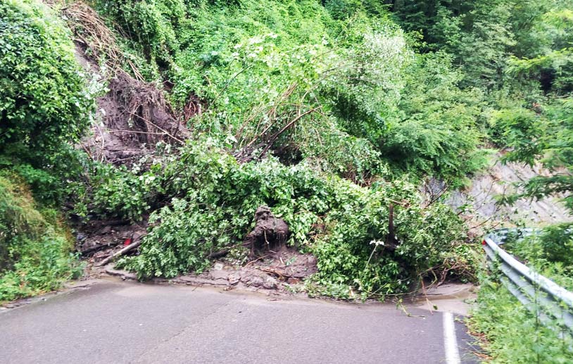 Maltempo, viabilità provinciale reggiana colpita in 42 punti | Modena 2000